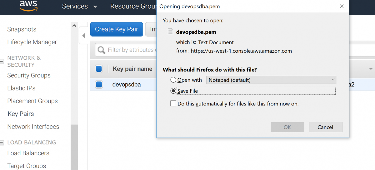 Create an AWS key pair – devops.isitdevops.com